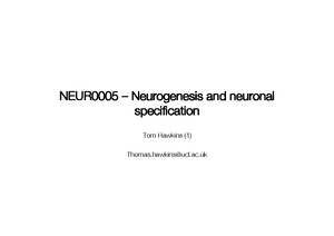 Summary on optogenetics scientific paper - An optogenetic approach is ...