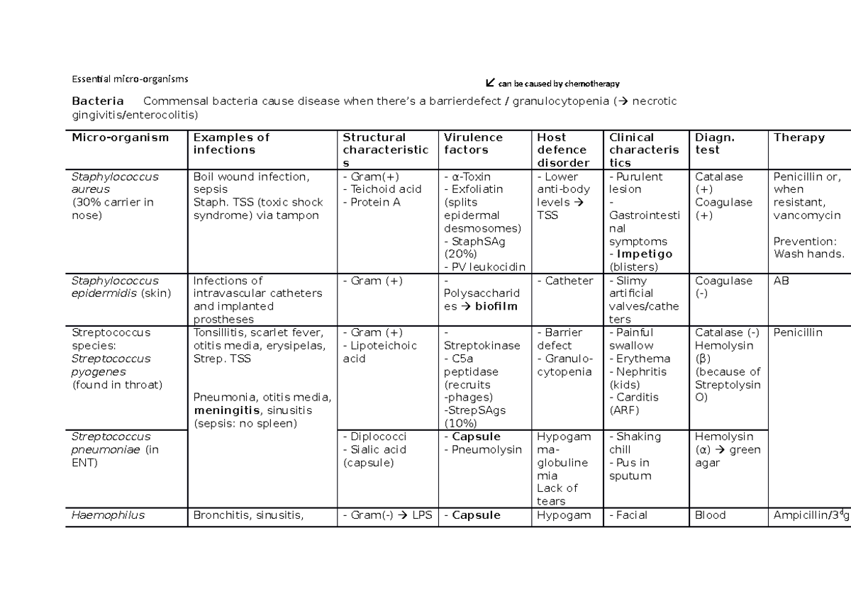Essential micro-organisms - Essential micro-organisms Bacteria ...