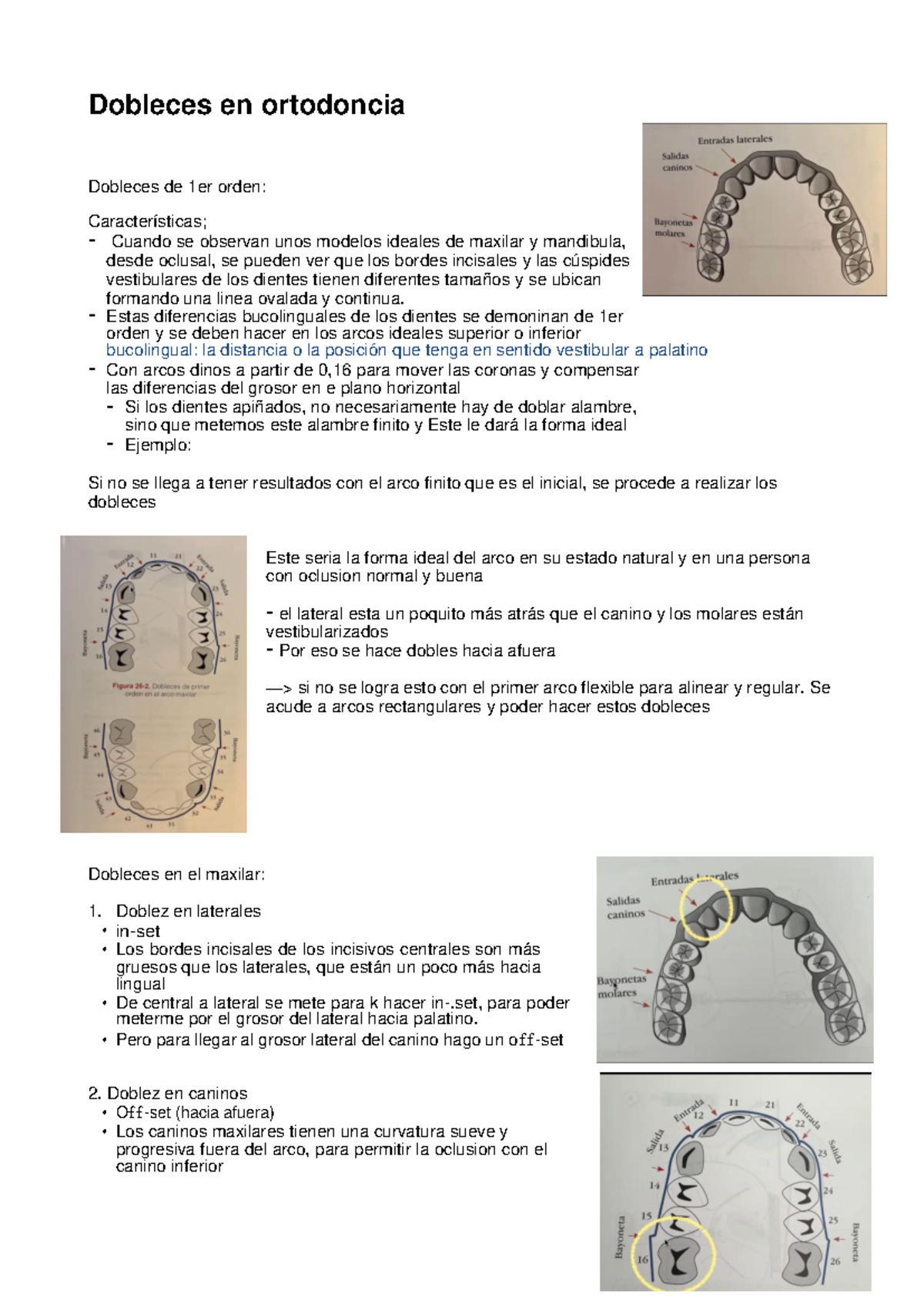B. Orto penúltima clase - Dobleces en ortodoncia Dobleces de 1er orden ...