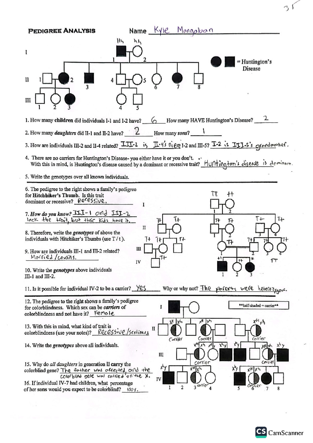 Pedigree Activity - N/A - CamScanner CamScanner - Studocu