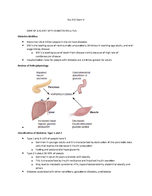 Medication ATI Ibuprofen - ACTIVE LEARNING TEMPLATES MEDICATION A ...