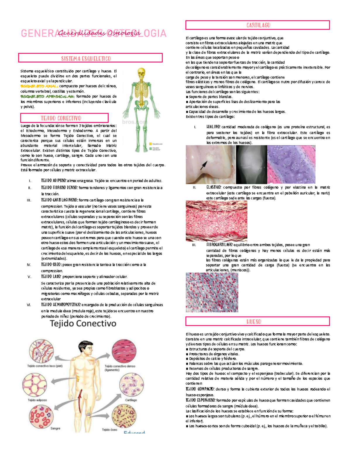Generalidades Osteología - Warning: TT: undefined function: 32 Warning: TT: undefined function ...