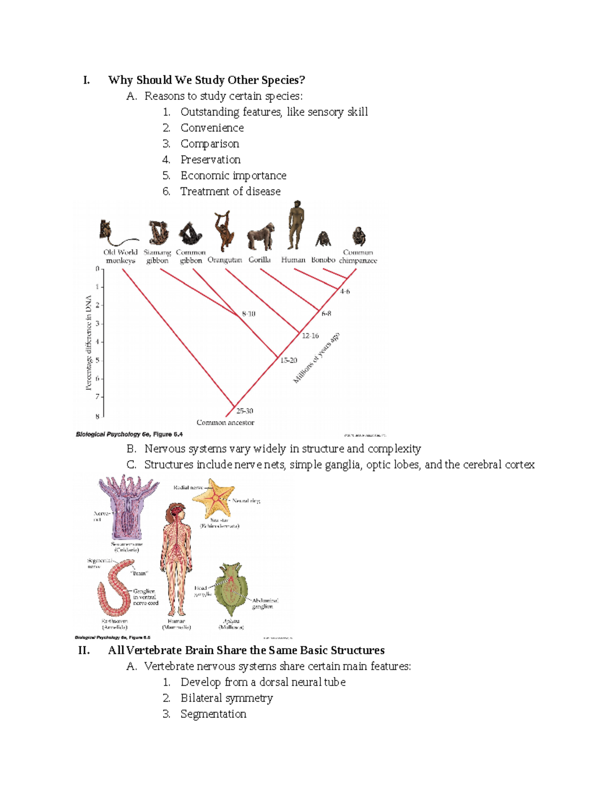 Comparative Anatomy and Evolution - I. Why Should We Study Other ...