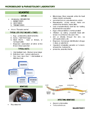 Microbiology AND Parasitology Lesson-1 - MICROBIOLOGY AND PARASITOLOGY LESSON 1 - INTRODUCTION ...