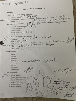 Anatomy Notes - BIO - HOMEOSTASIS - FEB 11 “Homeo” same “stasis ...
