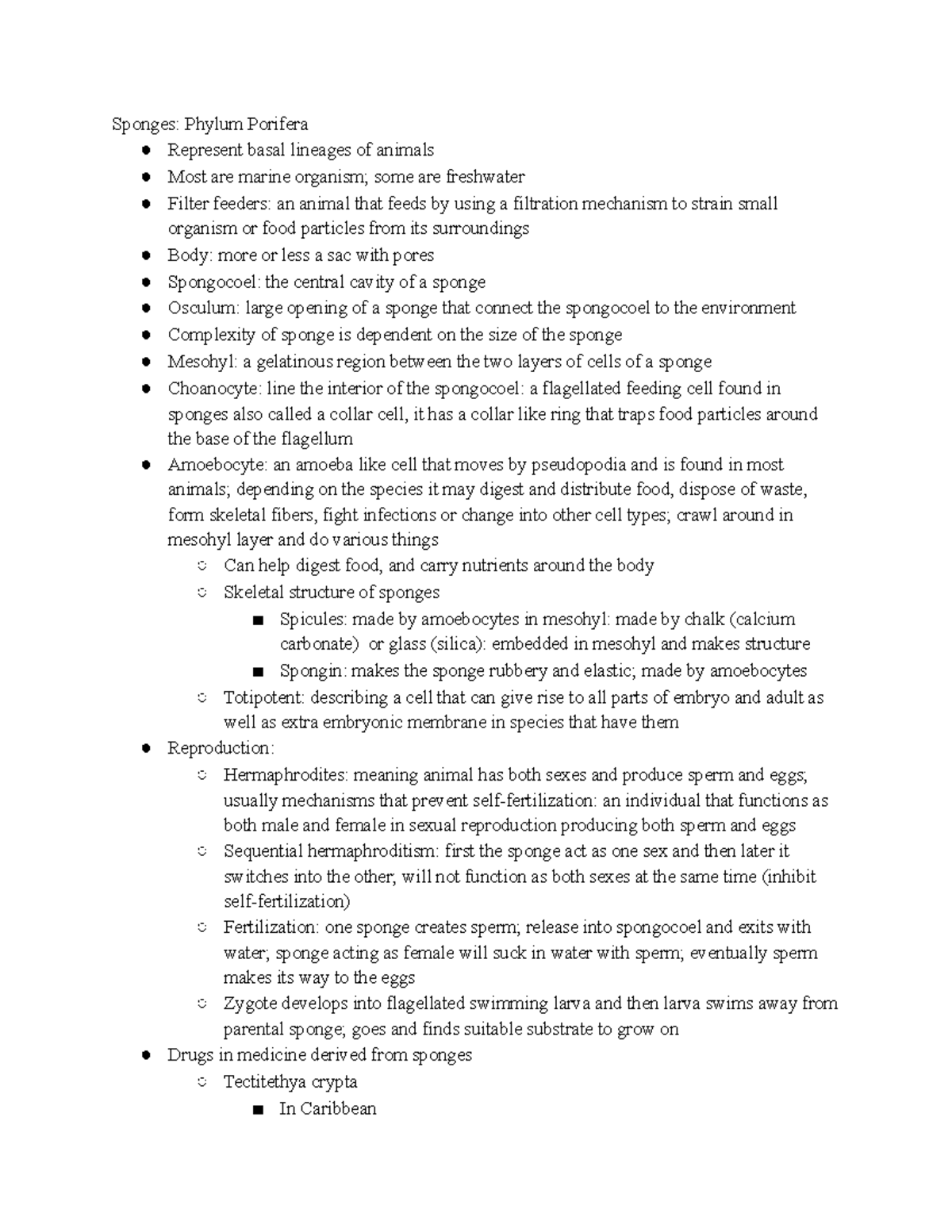 Invertebrates - Lecture and textbook notes for invertebrate chapter for ...