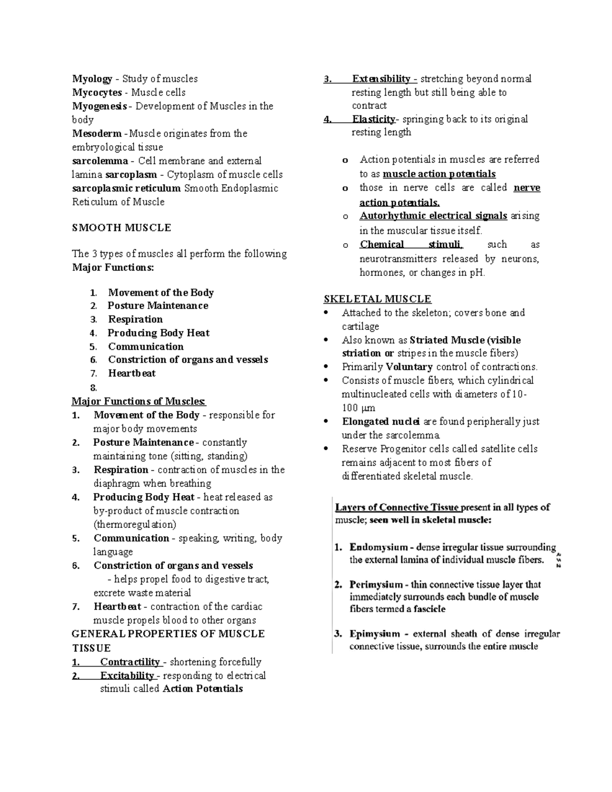 Mascular system - Myology - Study of muscles Mycocytes - Muscle cells ...