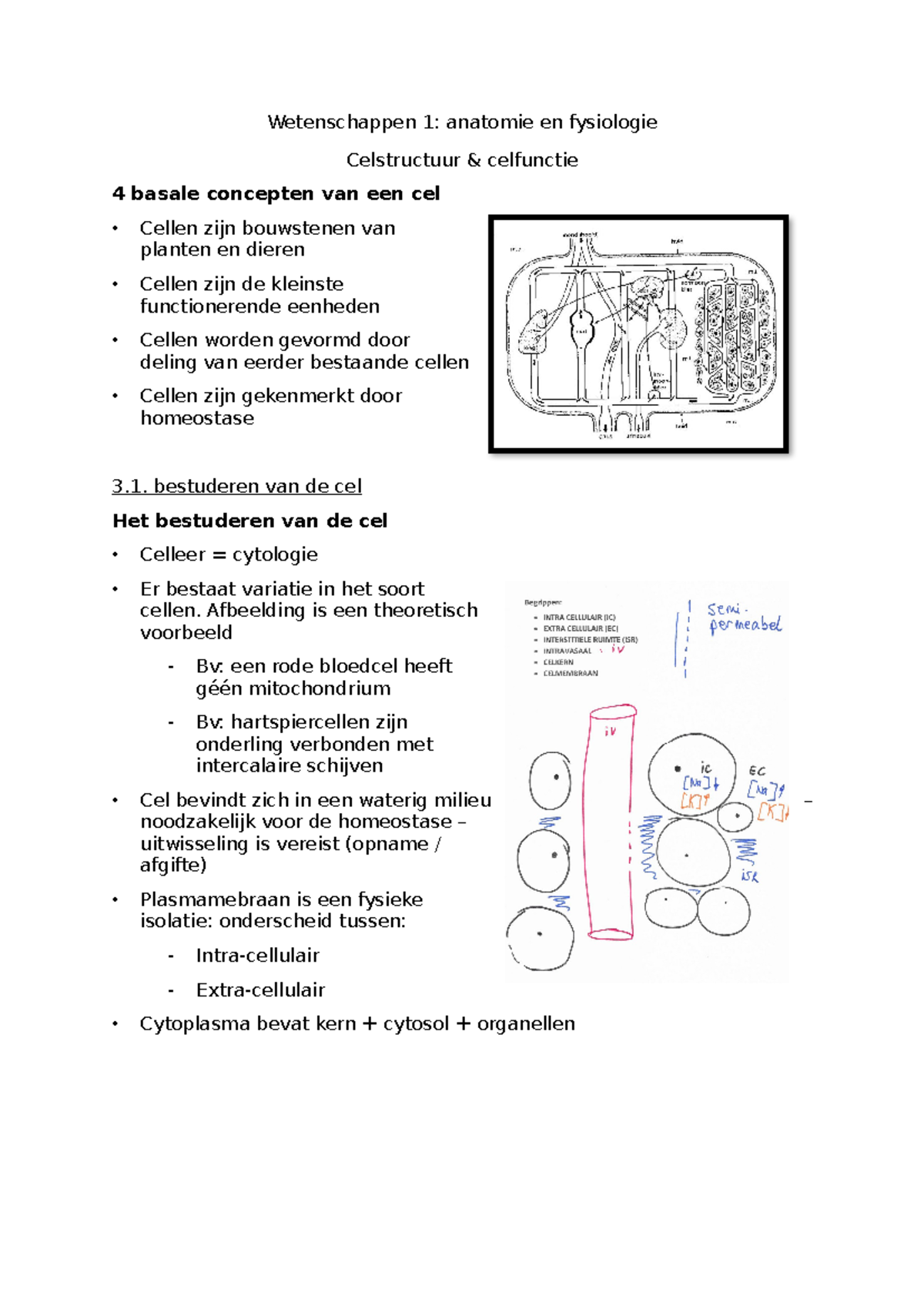 Celstructuur en celfuncties - Wetenschappen 1: anatomie en fysiologie ...