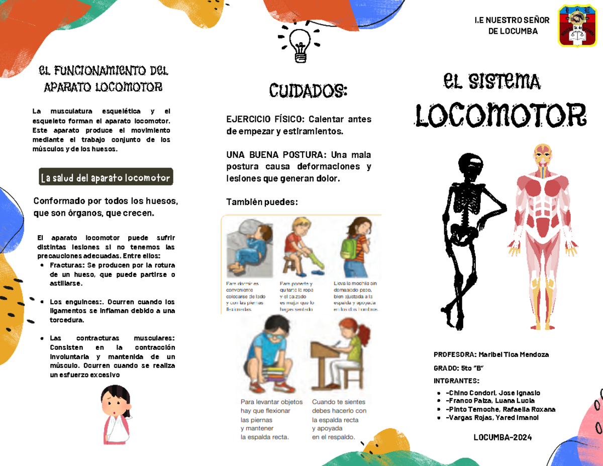 Triptico el sistema locomotor - EL FUNCIONAMIENTO DEL APARATO LOCOMOTOR ...