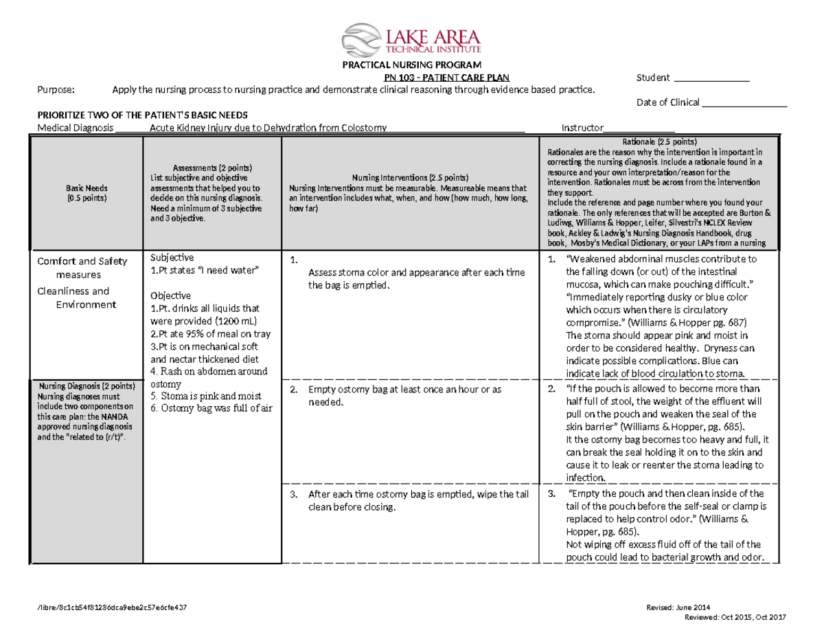 Care Plan Form FA17 Rebekah Lawrence - PRACTICAL NURSING PROGRAM PN 103 ...