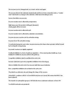DNA Replication - DNA Replication Each strand is complementary to each ...