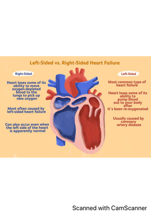 BCS 165 Unit 4 Exam Guide - BCS 165 Unit 4 Exam Guide Objective ...