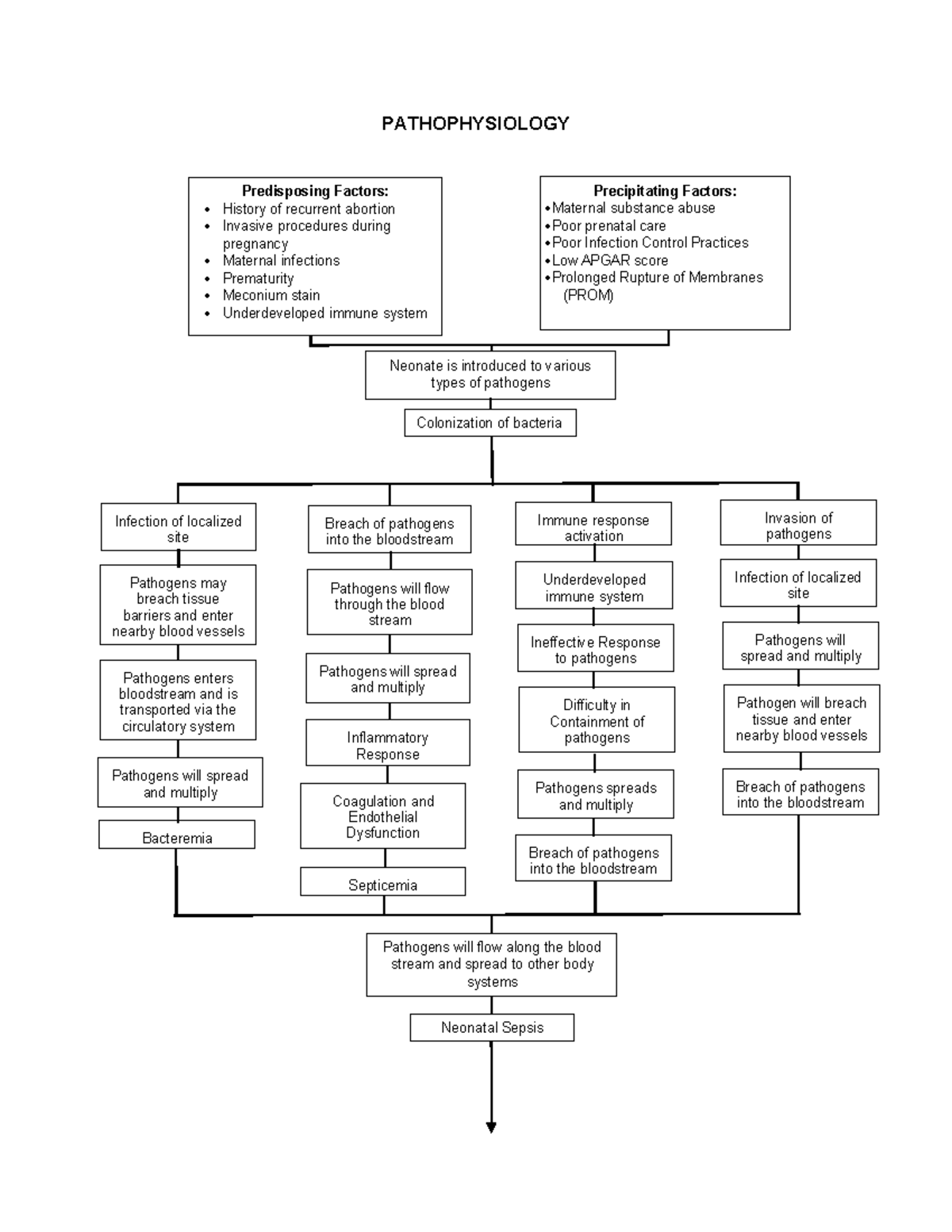 Pathophysiology-Neonatal Sepsis - PATHOPHYSIOLOGY Predisposing Factors ...