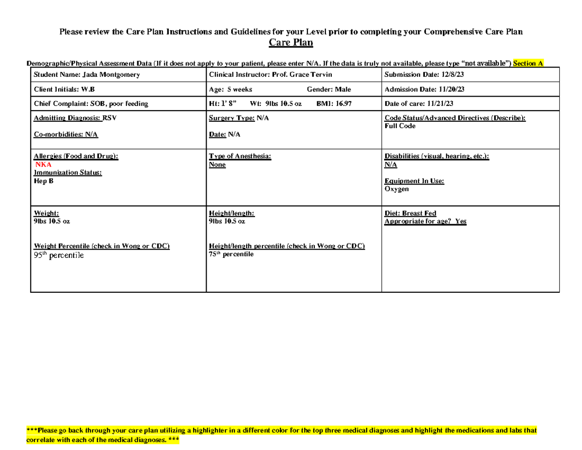 Peds Comp 2023 - care plan - Please review the Care Plan Instructions and Guidelines for your ...