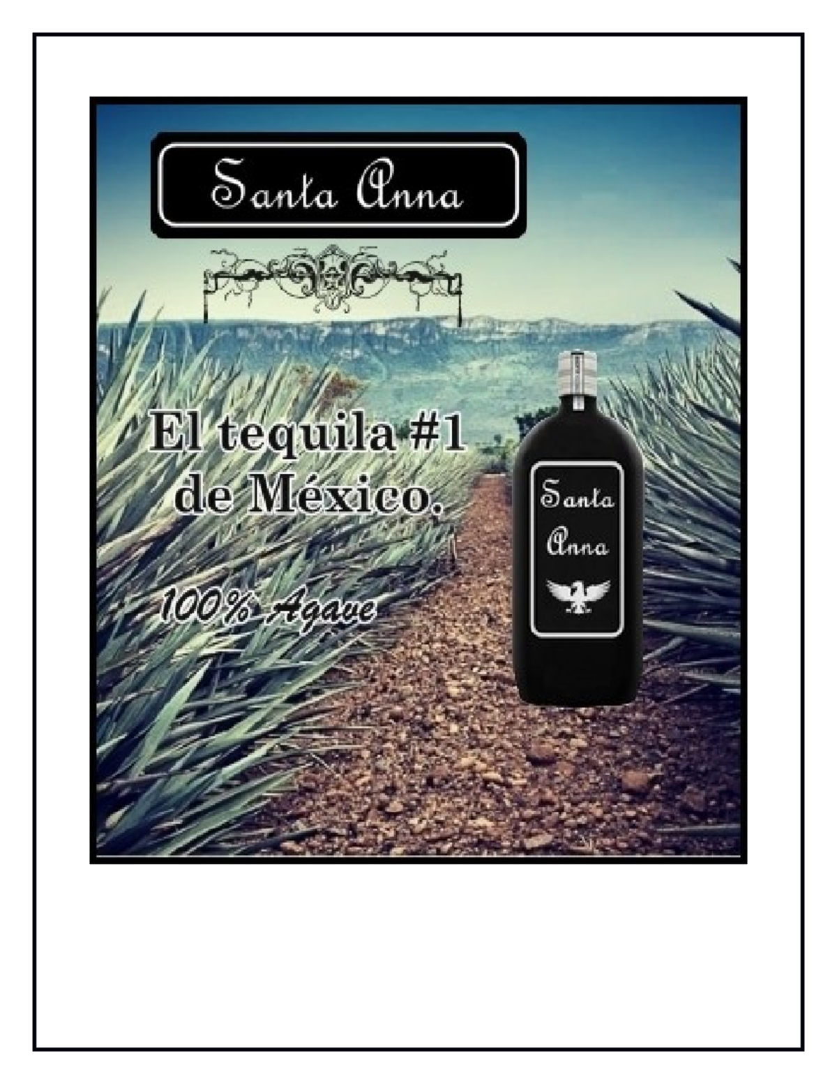 Creación de una empresa - Tequila Santa Anna 1. IMAGEN Misión Buscamos ...