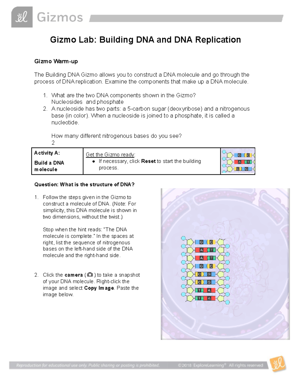 Gizmo Building DNA student version - Gizmo Lab: Building DNA and DNA ...