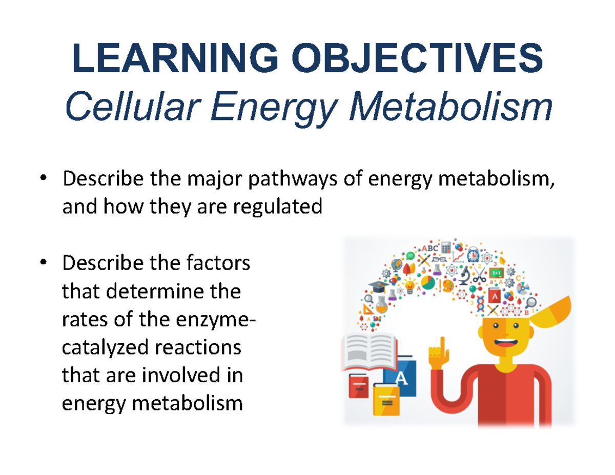 BioLOGY 2A03 Recorded 02-Energy Metabolism - LEARNING OBJECTIVES ...