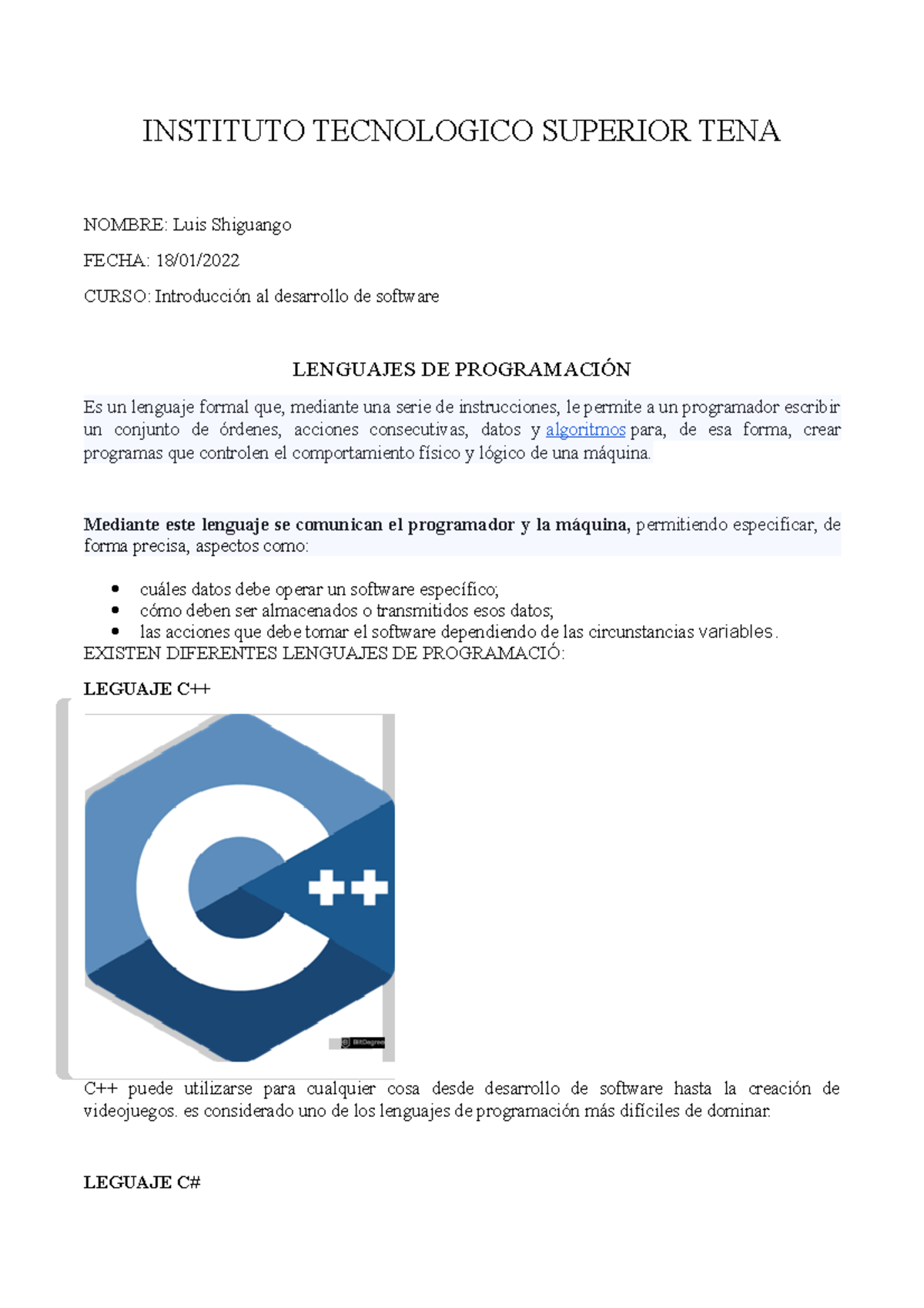 Lenguajes de programación para un buen programador - INSTITUTO ...
