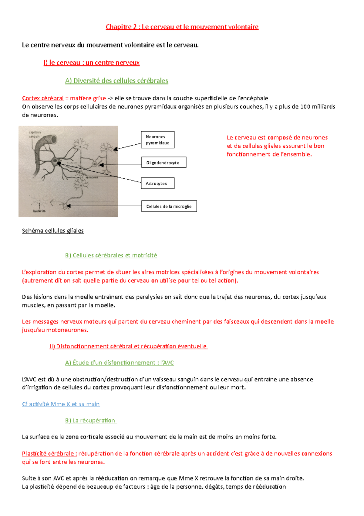 Fiche svt - Cours biologie terminale - Chapitre 2 : Le cerveau et le mouvement volontaire Le ...