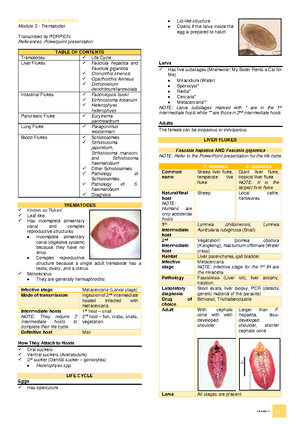 Direct Fecal Smear ( Parasitology) - Direct fecal smear technique is ...