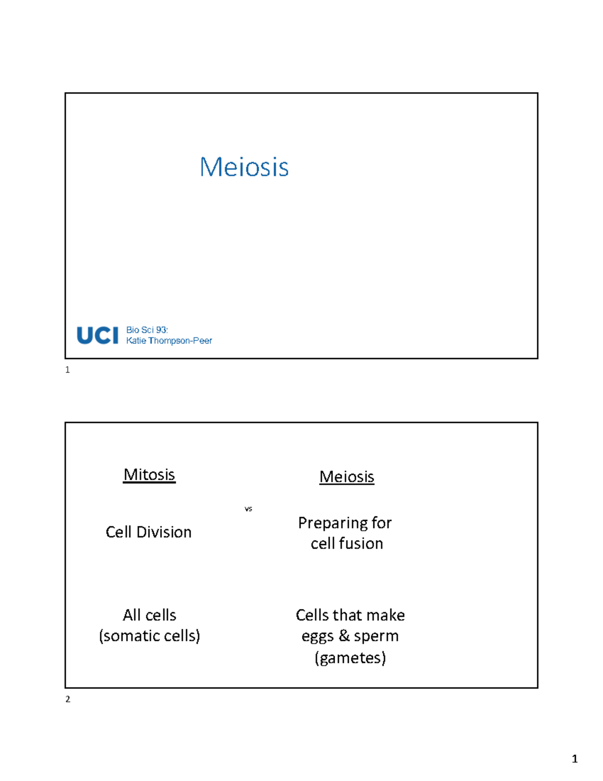 14 Meiosis basics notes - Meiosis Bio Sci 93: Katie Thompson-Peer 1 ...