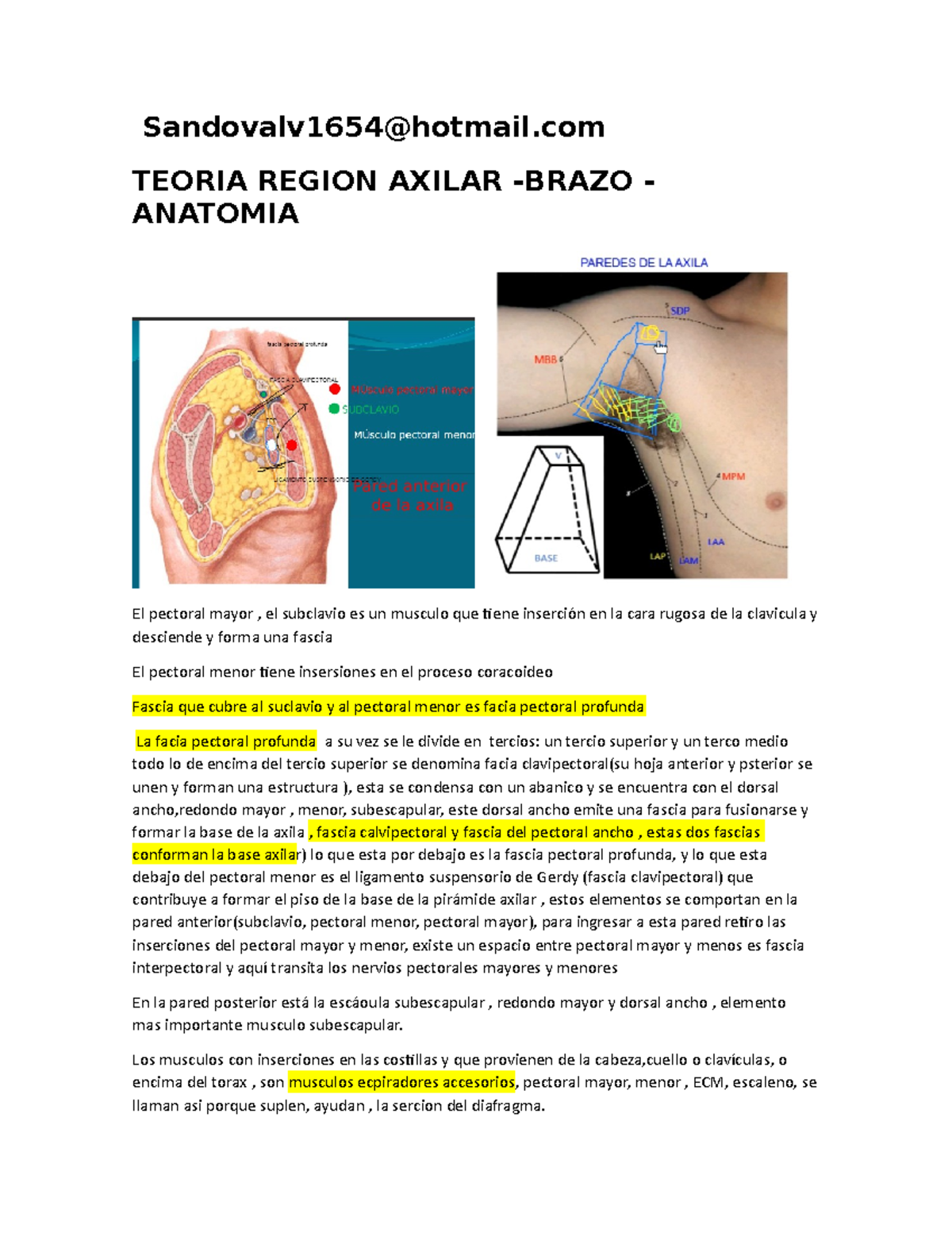 Teoria Region Axilaranatomia - Sandovalv1654@hotmail TEORIA REGION ...