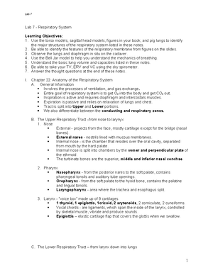 Chap 5 Pre-lab activities Skin - CHAPTER 5: THE INTEGUMENTARY SYSTEM ...