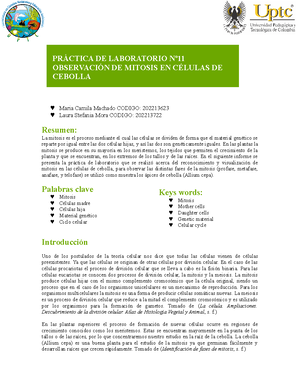 [Solved] concepto y funcin de las Caveolas - Biología General - Studocu