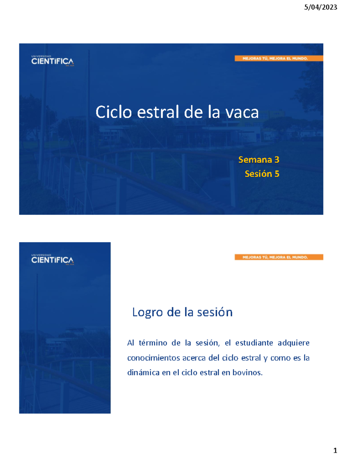 Reproduccion Sesion 5 - PPT para que estes listo para las clases de teo ...