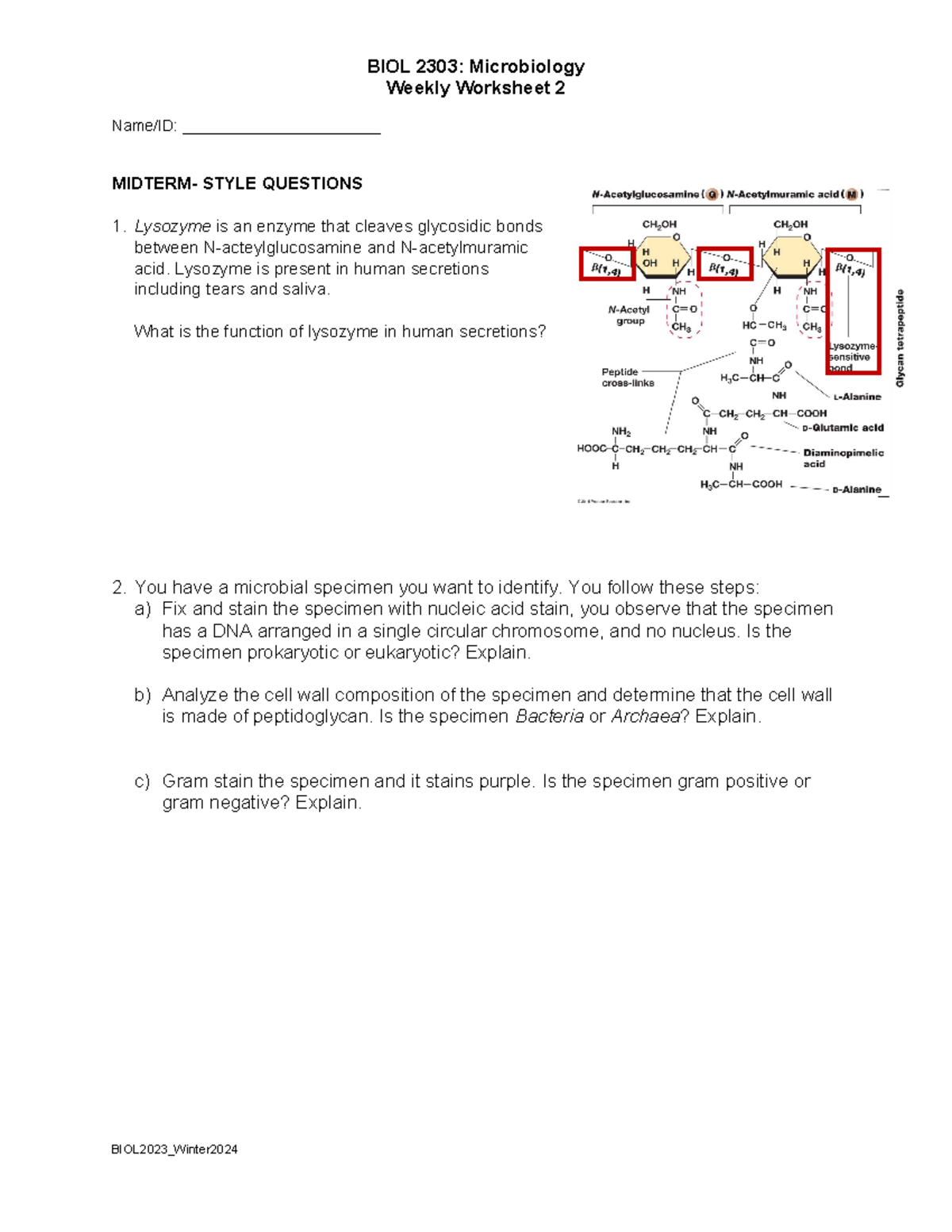 Weekly Worksheet 2 - BIOL 2303: Microbiology Weekly Worksheet 2 Name/ID ...