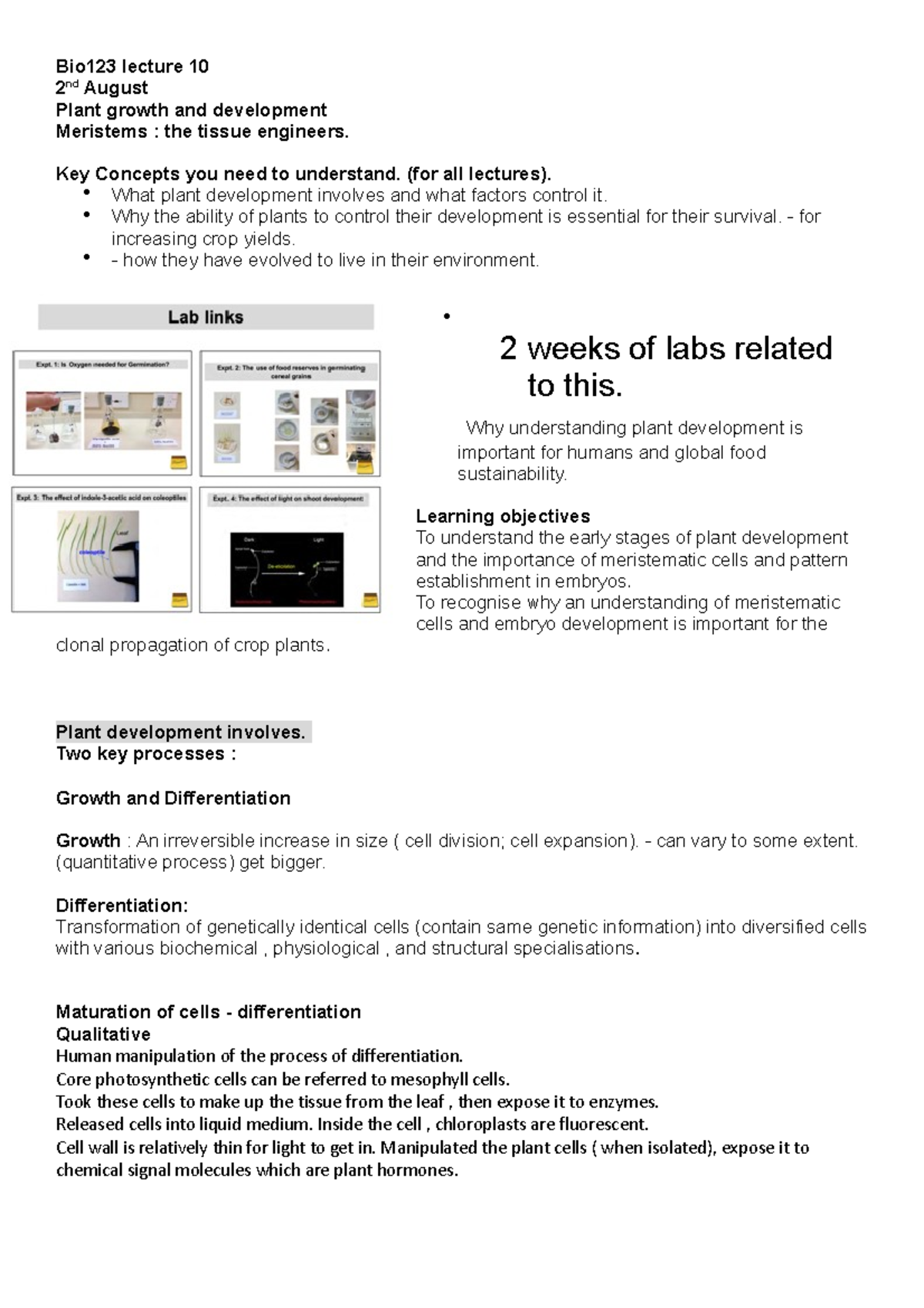 BIOL123 S2 lec notes - Bio123 lecture 10 2 nd August Plant growth and ...