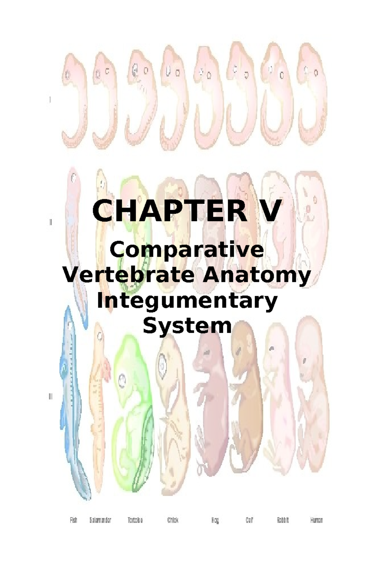 CVA- Module-5 - CHAPTER V Comparative Vertebrate Anatomy Integumentary ...