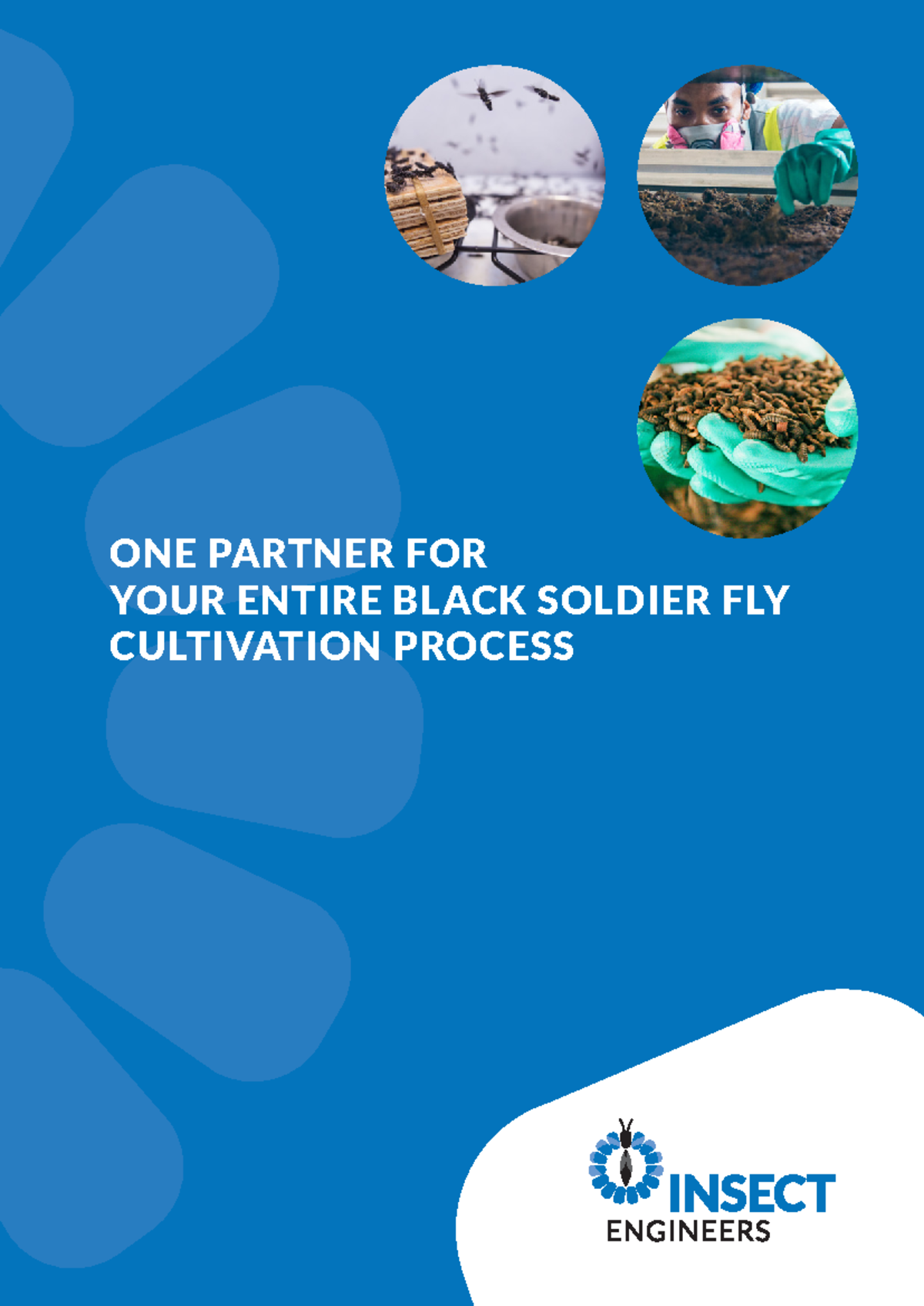 Brochure-insect-engineers 220607 - ONE PARTNER FOR YOUR ENTIRE BLACK SOLDIER FLY CULTIVATION ...