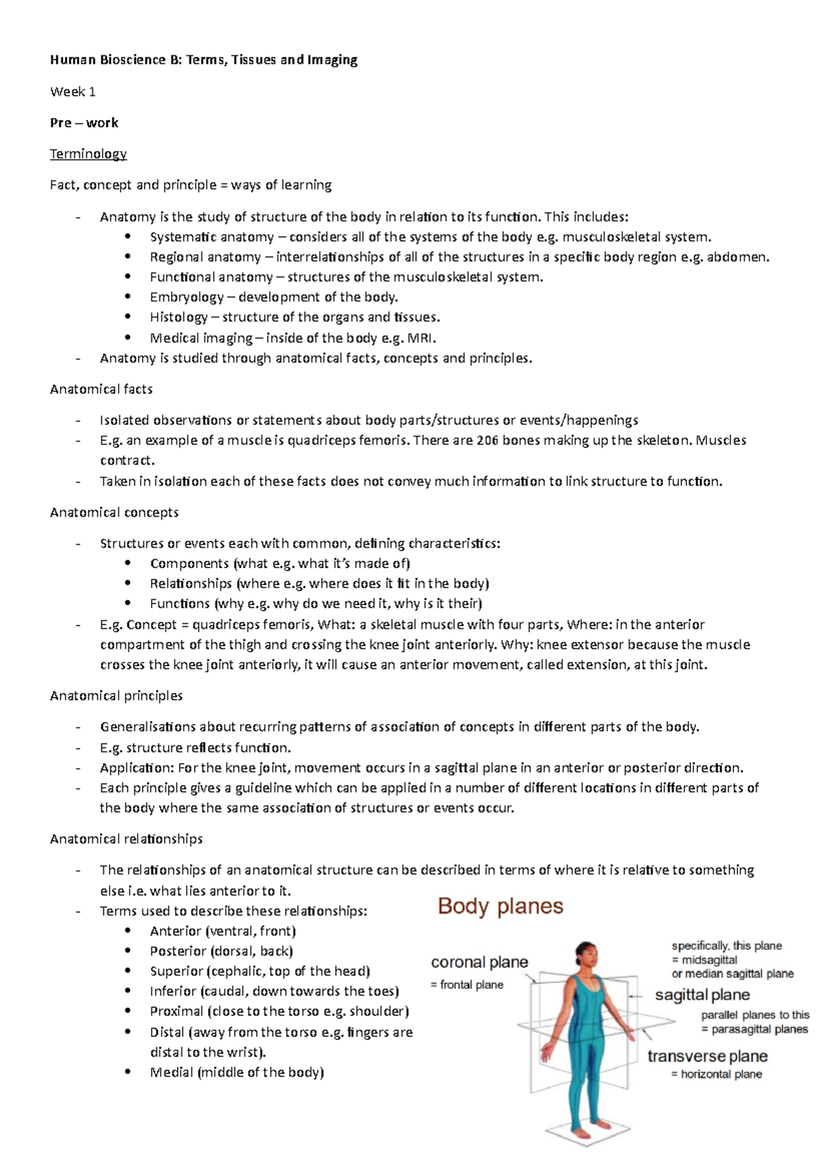 Week 1 Terms, Tissues and Imaging - Human Bioscience B: Terms, Tissues ...