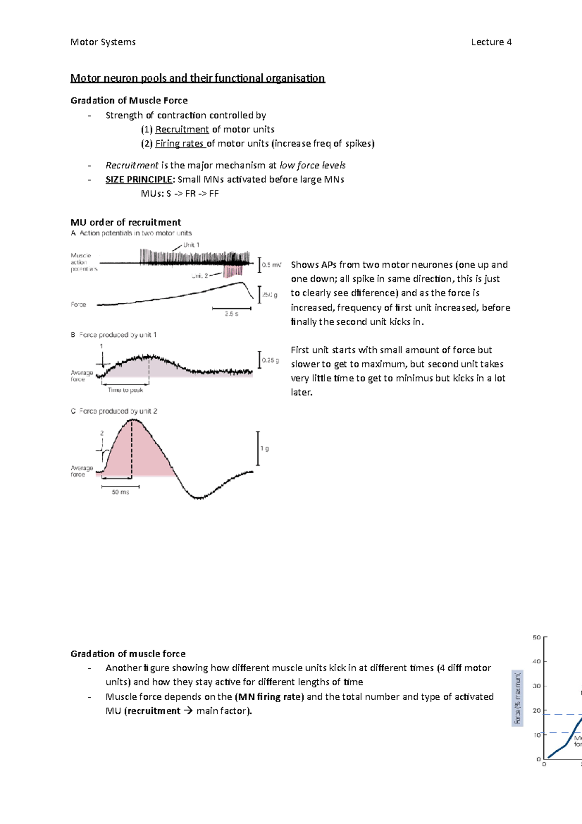 Lecture 4; Motor neuron pools and their functional organisation - Motor ...
