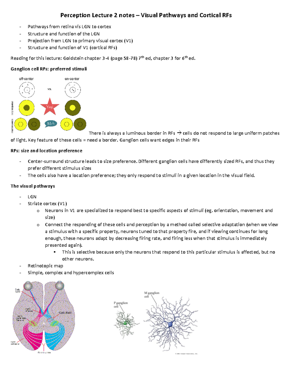 Perception Lecture 2 Notes Warning Tt Undefined Function 32 Warning Tt Undefined Function