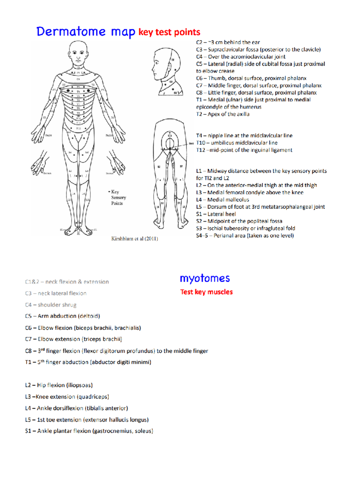 Study notes upper limb - ANAT2029 - Shoulder Region Lecture Notes ...