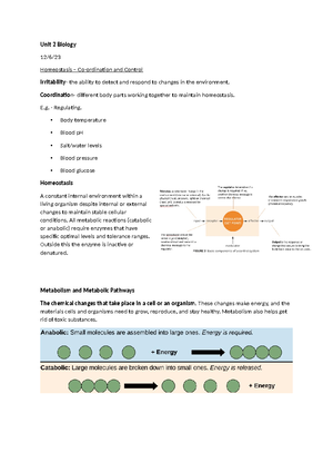 YEAR 11 BIO Notes FULL (1) - YEAR 11 BIOLOGY – MODULE 1 NOTES Cells as ...