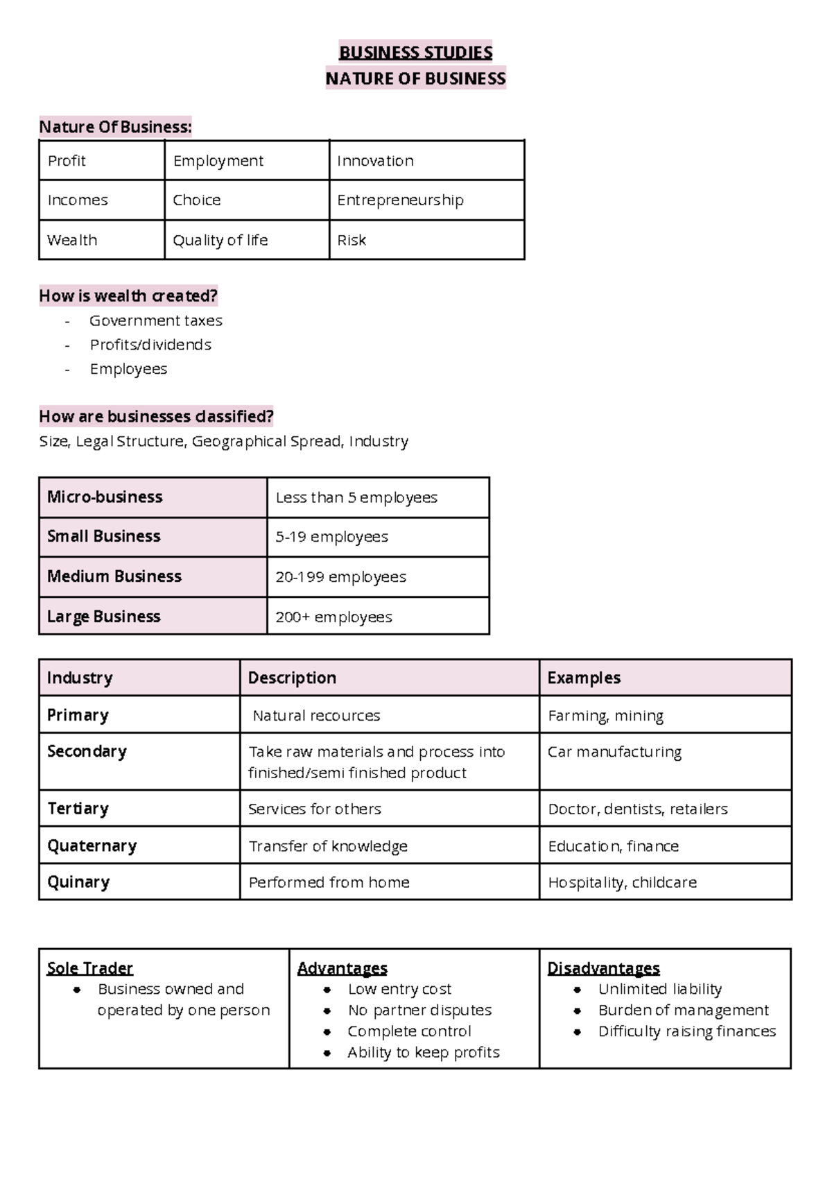 Year 11 Business Studies Notes - BUSINESS STUDIES NATURE OF BUSINESS ...