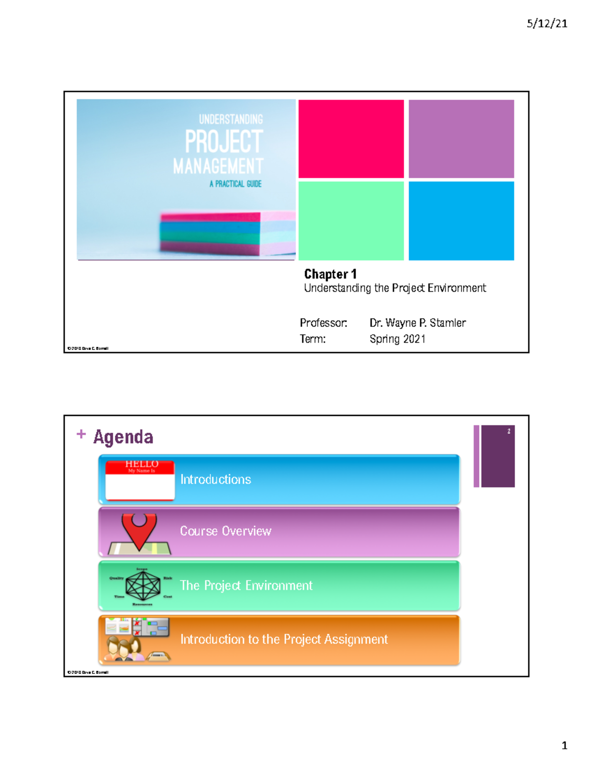 Chapter 1 - Understanding the Project Environment - MGMT8300 - R3a for ...