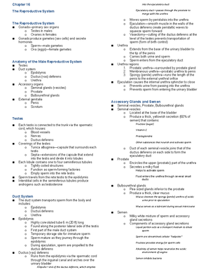 Case Scenario 1 PCAP NCP - Case Scenario 1 Pediatric-Community Acquired ...