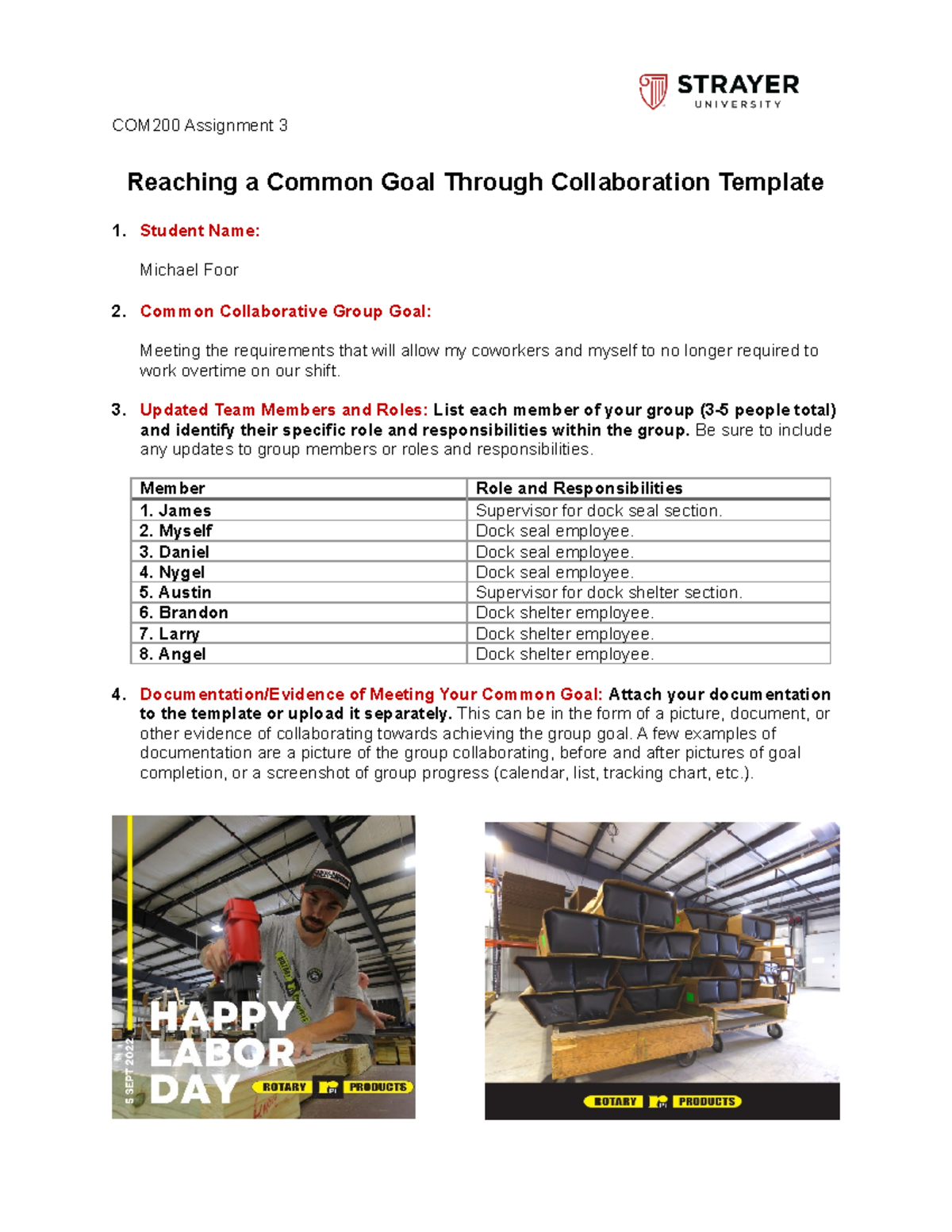 COM200 Week 6 Assignment - COM200 Assignment 3 Reaching a Common Goal ...