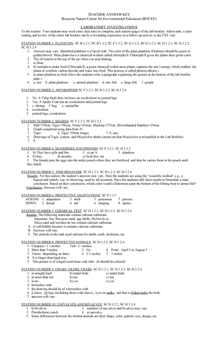 Greasy Lake Essay - Greasy Lake Summary What is "bad"? People associate ...