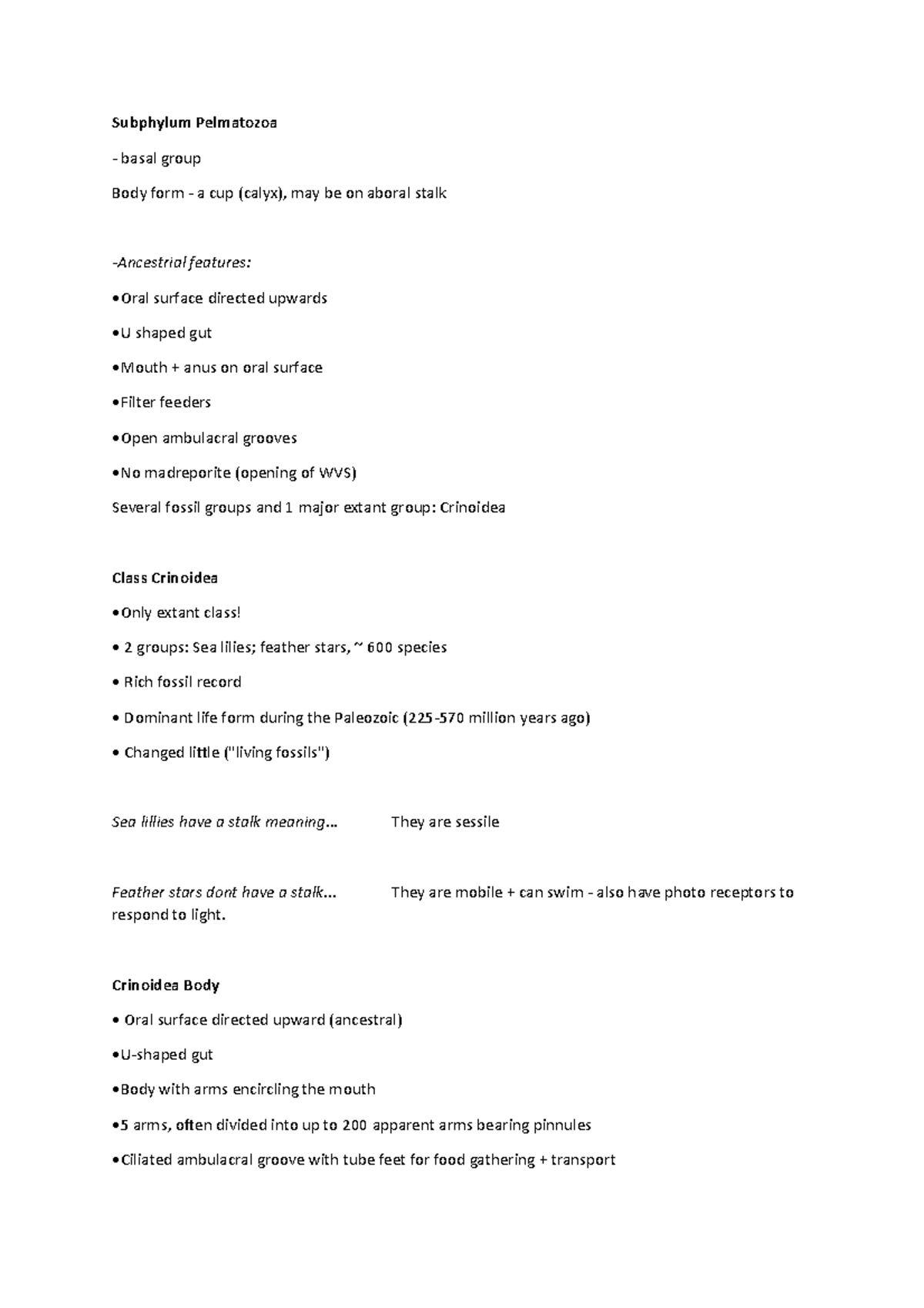 P Echinodermata, SP Pelmatozoa, C Crinoidea - Subphylum Pelmatozoa ...
