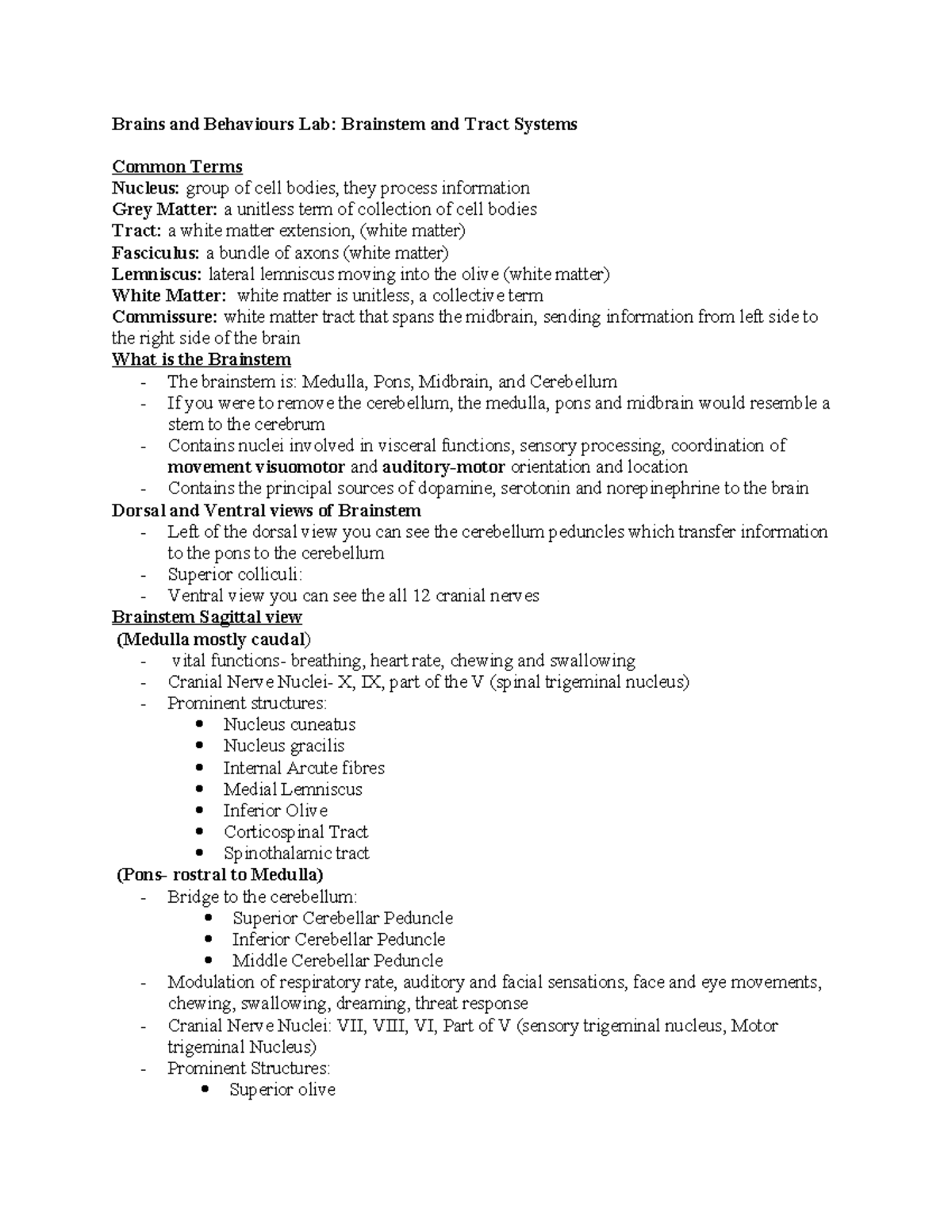 Brains and Behaviours Lab three - Brains and Behaviours Lab: Brainstem ...