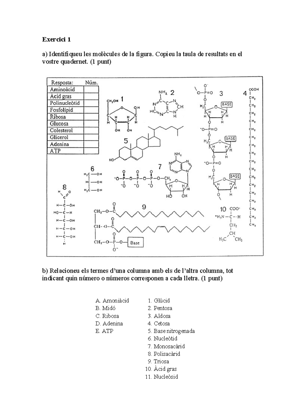 Exercicis Metabolisme ( Digestió I Biomolècules) - Exercici 1 a ...
