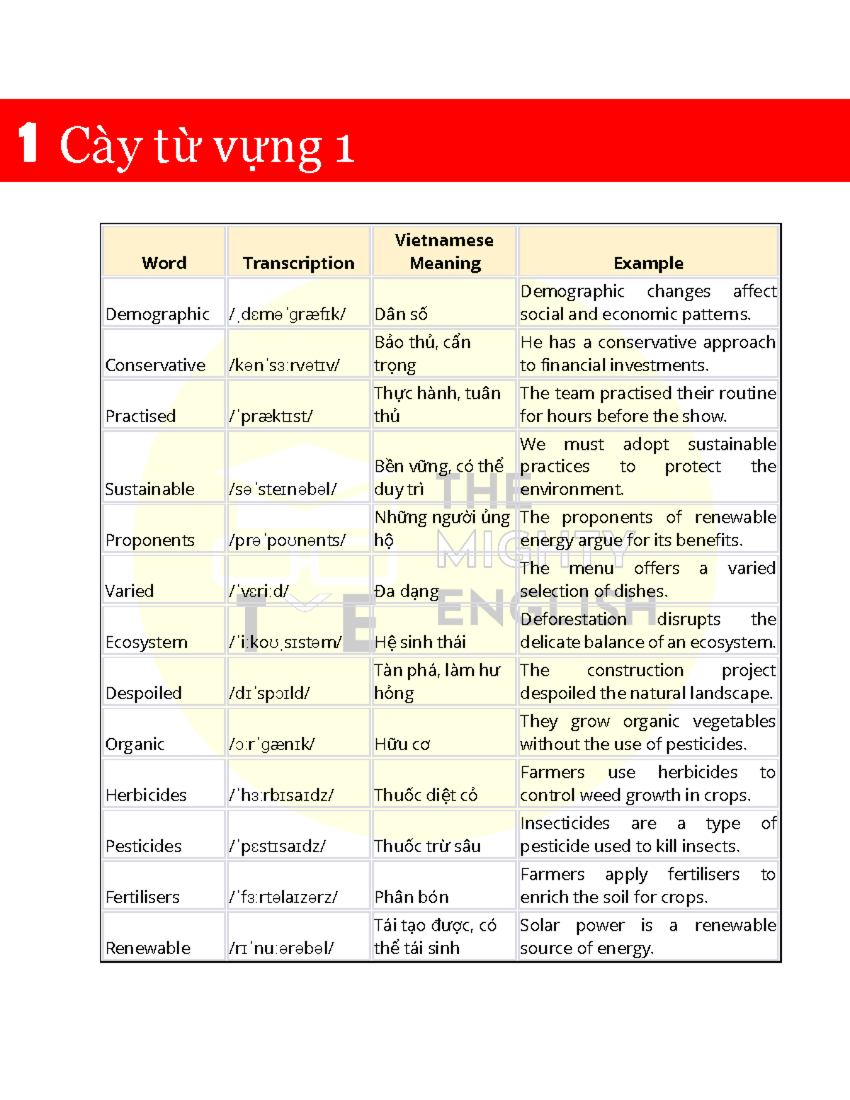 NHỒI TỪ 1 - Nhồi từ 1 - 1 C‡y từ vựng 1 Word Transcription Vietnamese ...