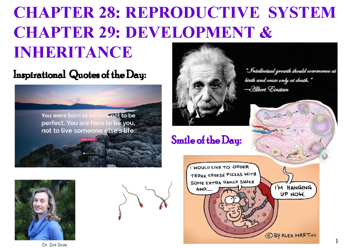 Chapter 28 - None - Inspirational Quotes of the Day: CHAPTER 28 ...