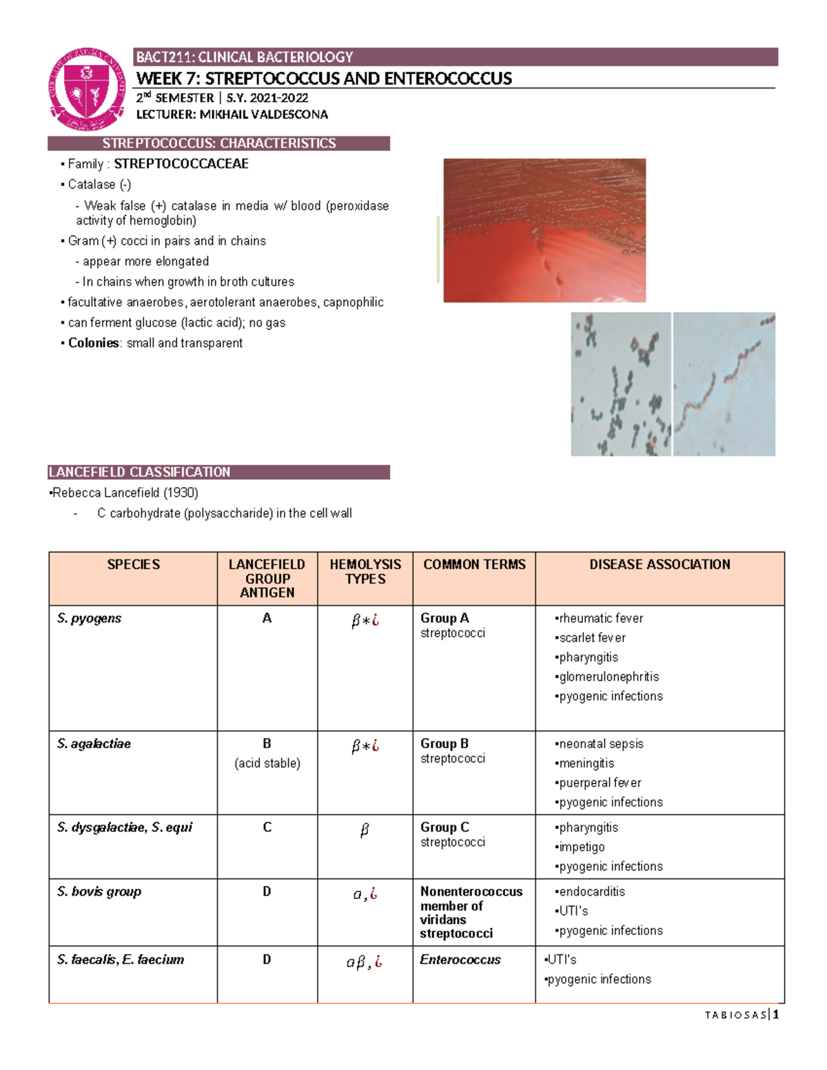 WEEK 8 Streptococcus and Enterococcus - BACT211: CLINICAL BACTERIOLOGY ...