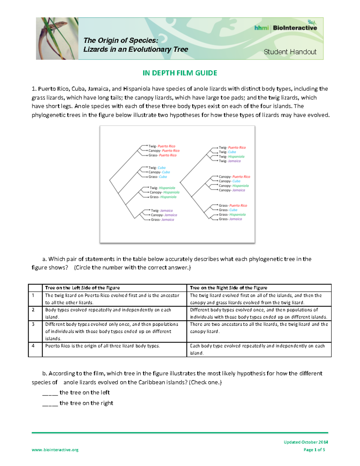 HHMI Enrichment Video Lizards in an Evolutionary Tree Student Quiz ...